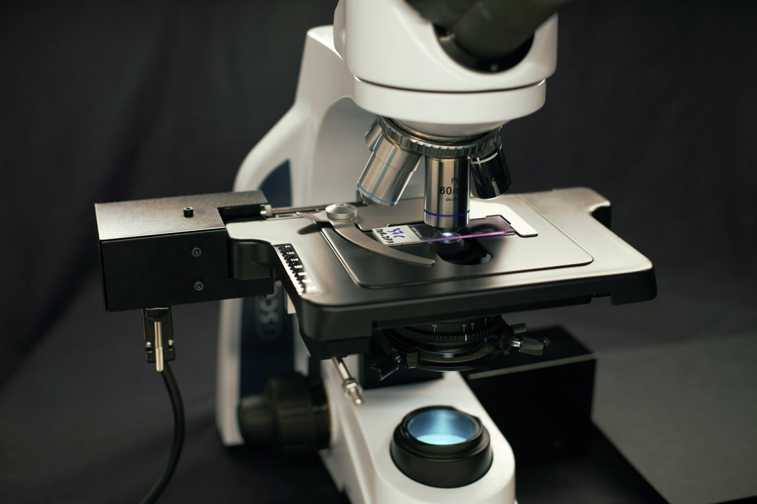A.COLOMA Winkoms Open Microscopy SmartScope Lite - A.COLOMA Winkoms ...